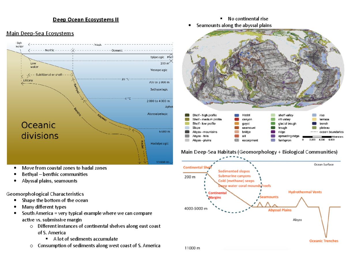 Deep Ocean Ecosystems II (Main Ecosystems, Faunal Abundance ...