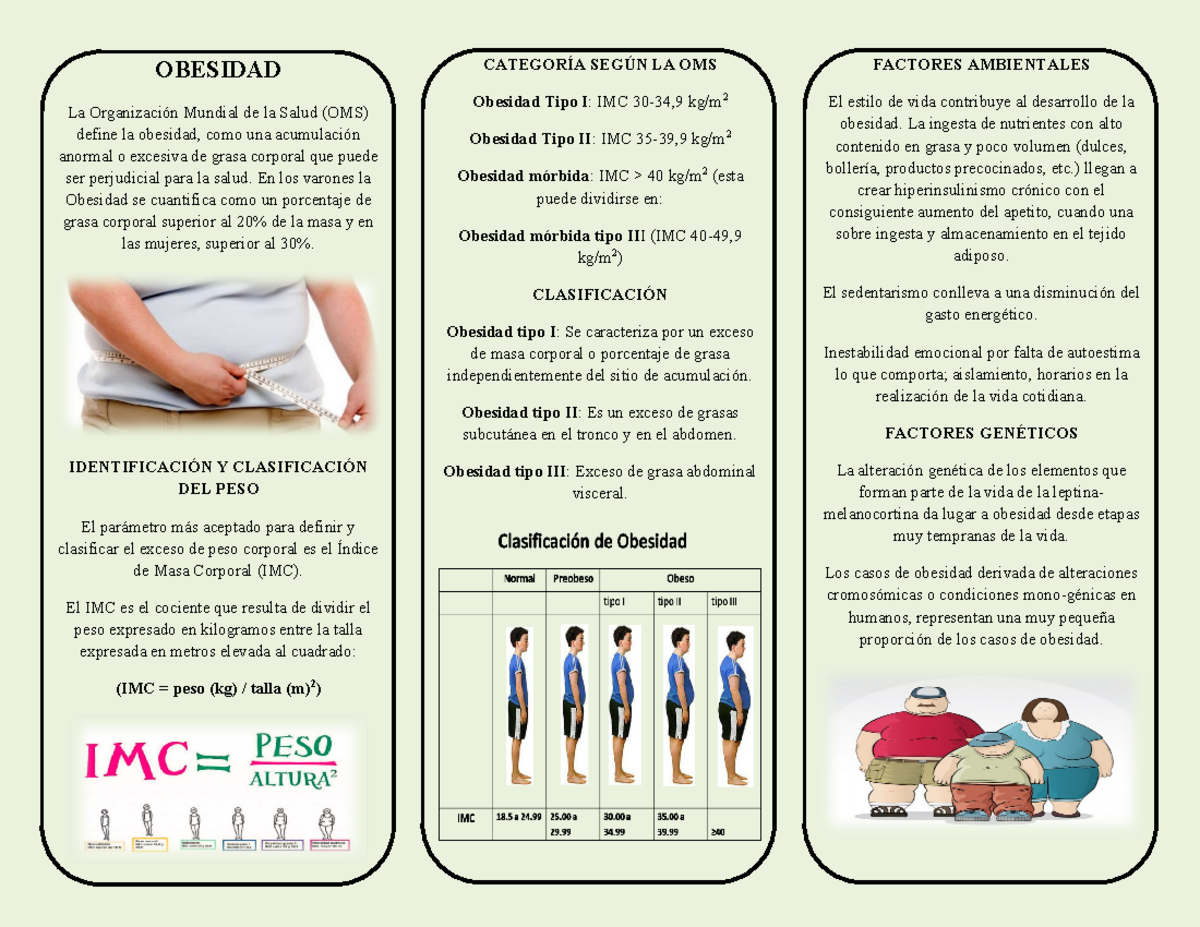 Triptico de la Obesidad 2 - OBESIDAD La Organización Mundial de la ...