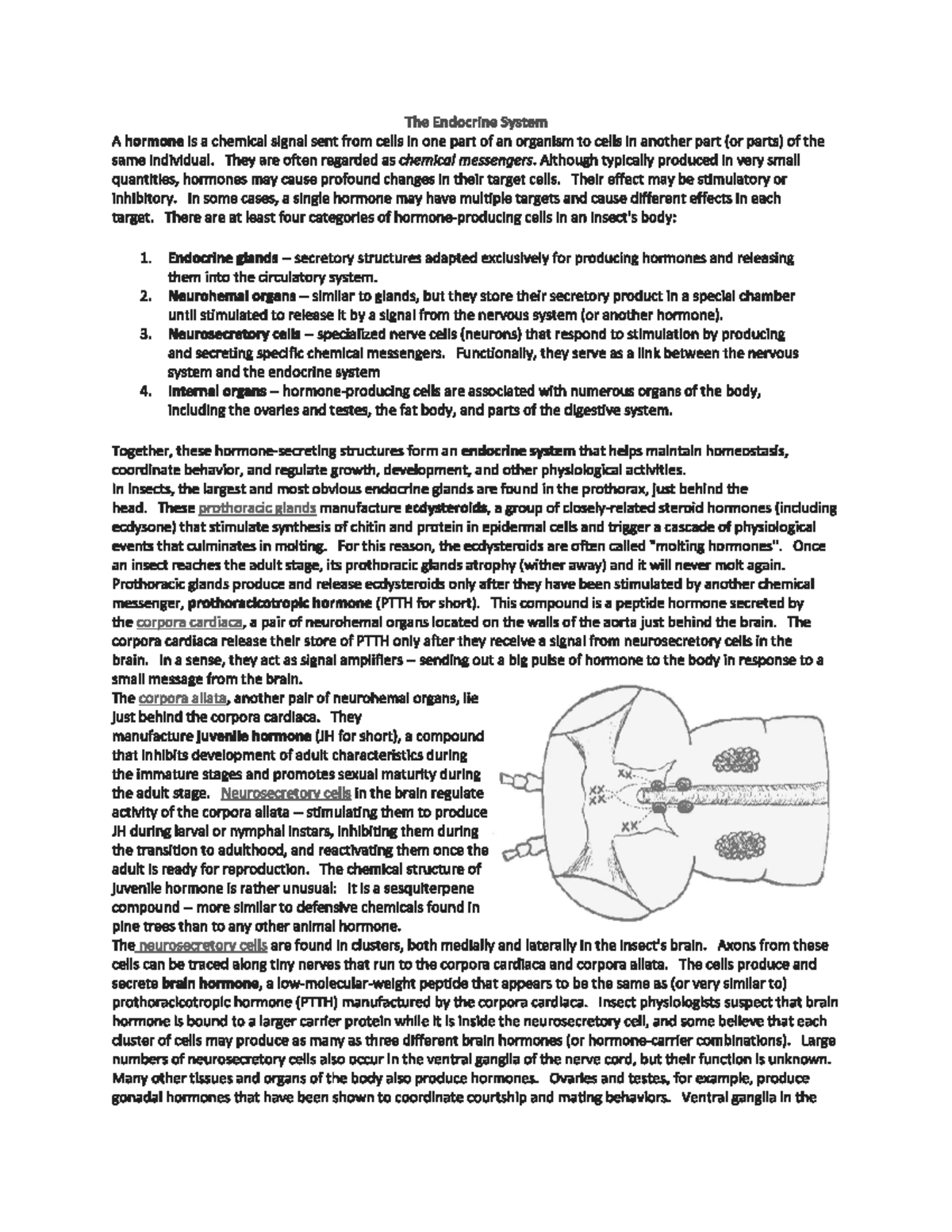 Entomology Notes - study of insects. the systems that are found in the ...
