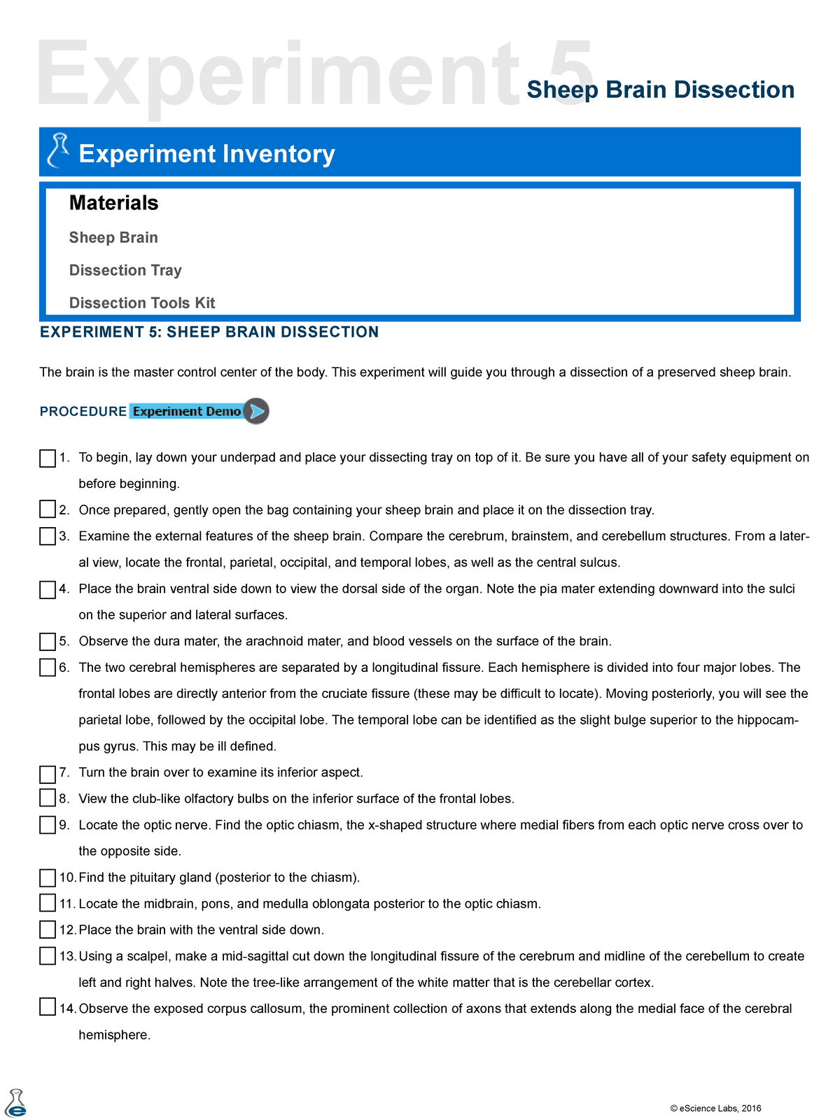 AP 5069 L08 Exp5 Sheep Brain Diss - Introduction to Science Experiment ...