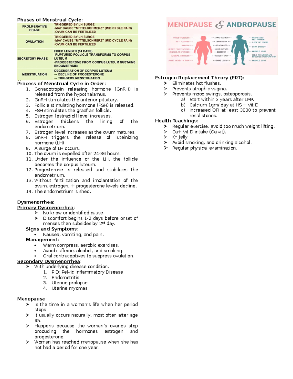 217 ( Menstrual Cycle AND Menopause)- Extra Notes - Phases of Menstrual ...