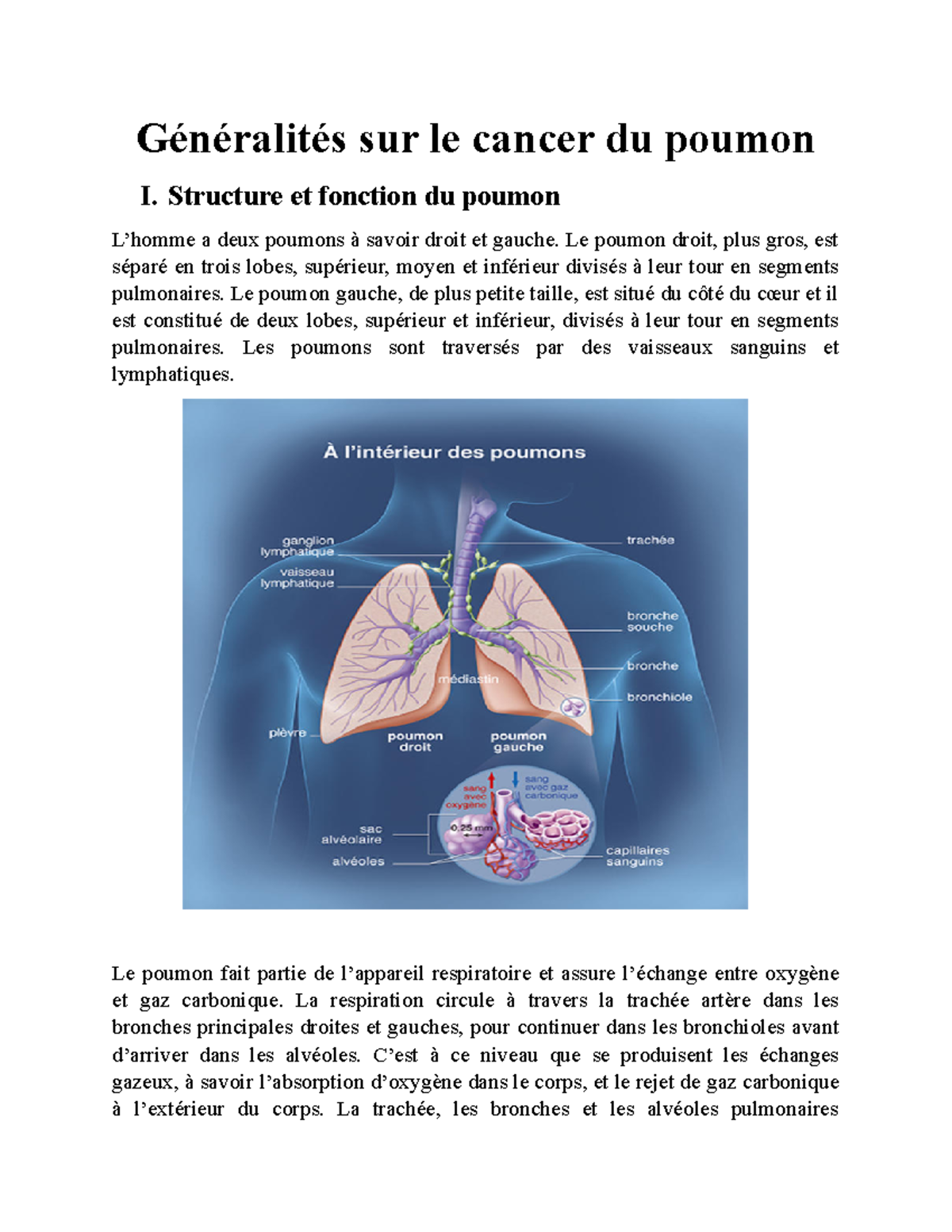 Généralités sur le cancer du poumon - Structure et fonction du poumon L ...