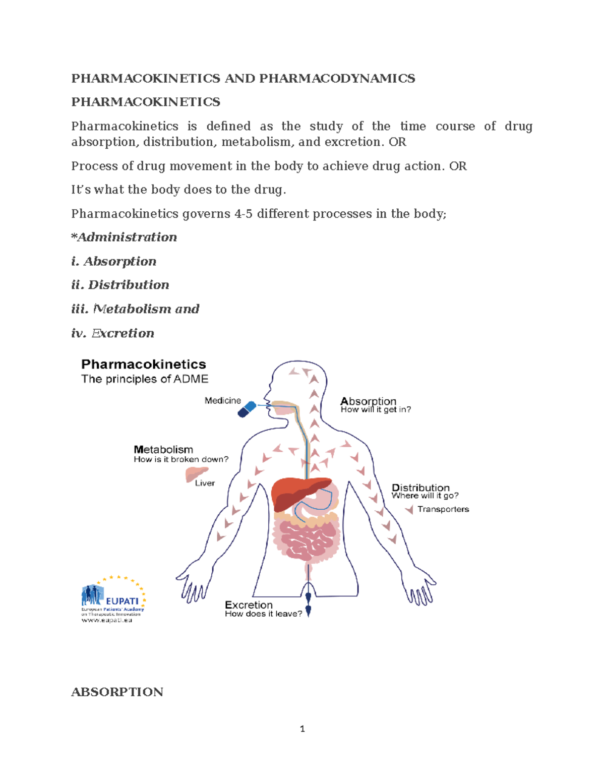 Pharmacokinetics - notes - PHARMACOKINETICS AND PHARMACODYNAMICS ...