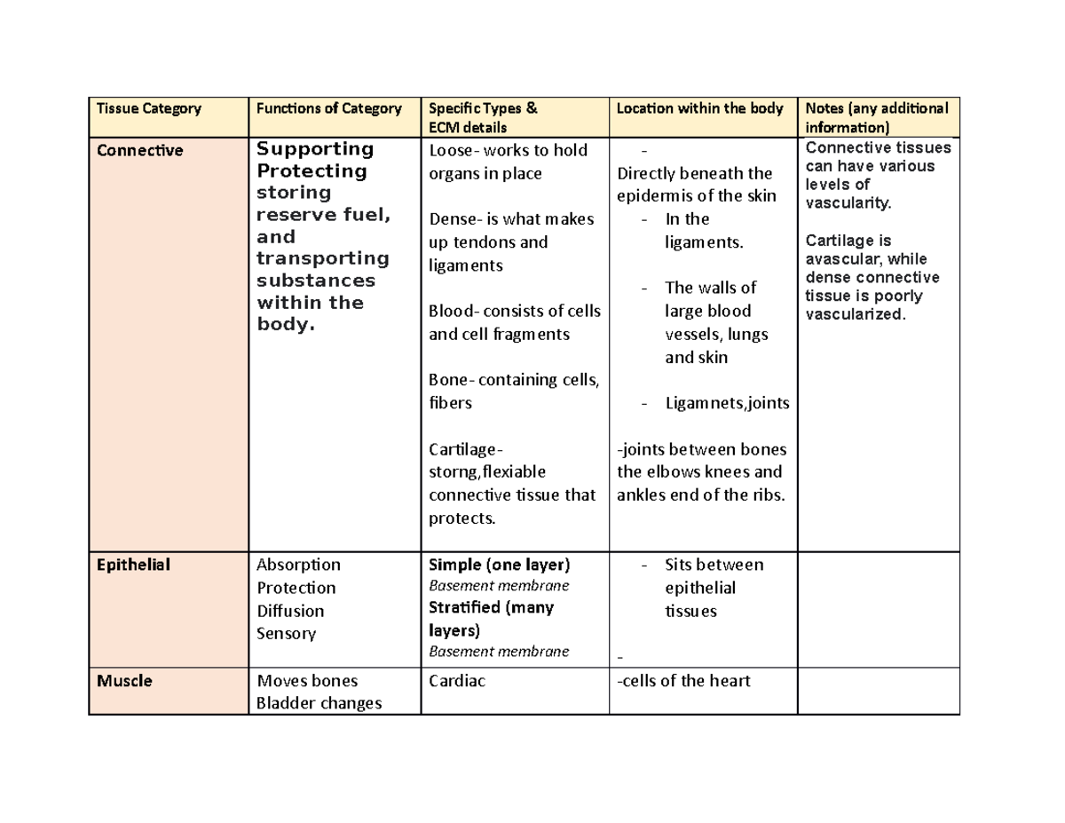 Tissue Chart New 21 - Word document - Tissue Category Functions of ...