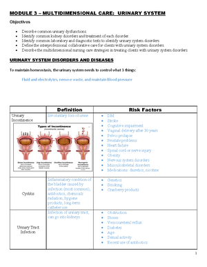 Module 1 Notes - Specific morphology Small nuclear-to-cytoplasmic ratio ...