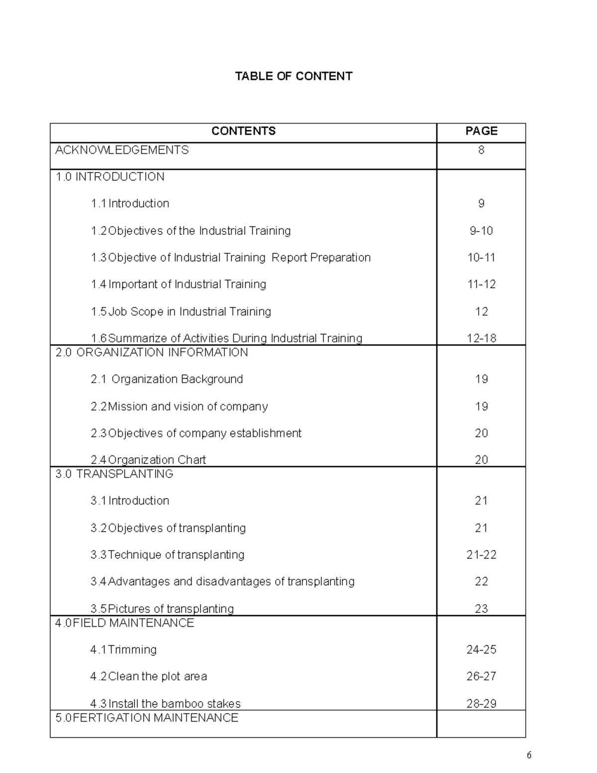 Final Report NUR Syarafana - TABLE OF CONTENT CONTENTS PAGE ...