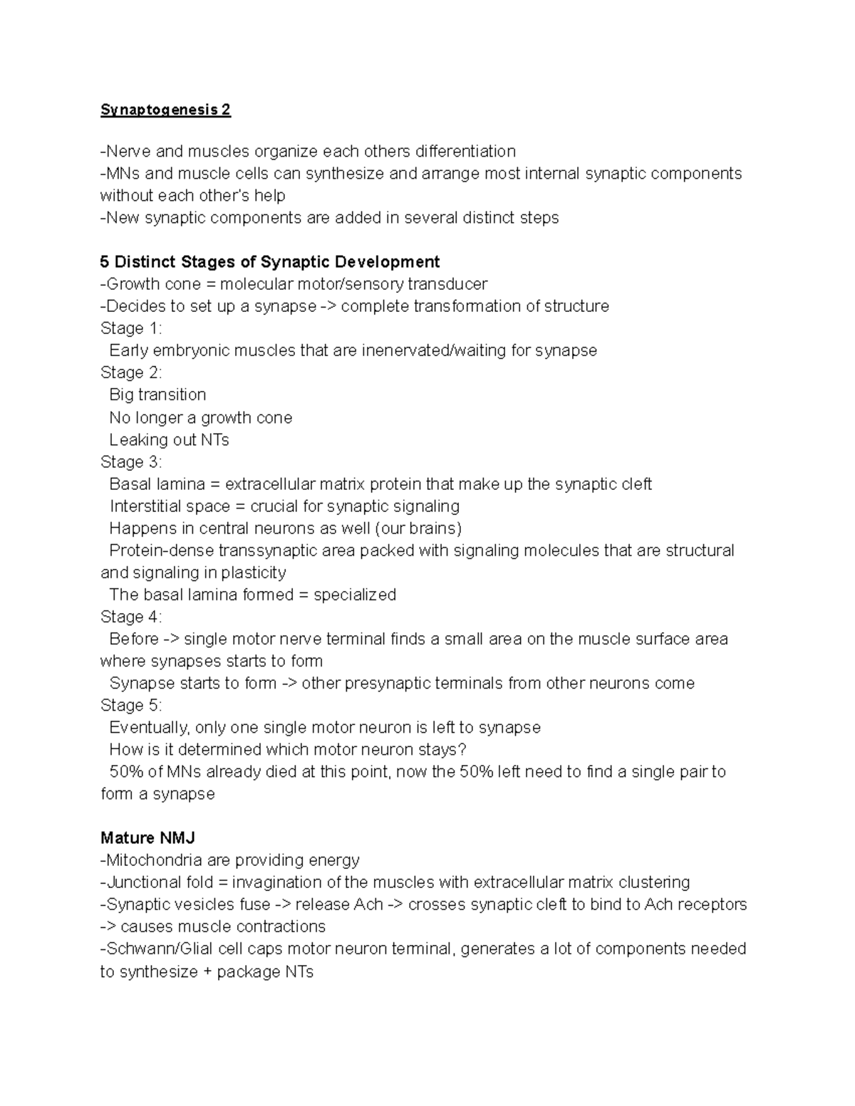 BISC 407 Lec. 8 - BISC 407 Lec. 8 - Synaptogenesis 2 -Nerve and muscles ...