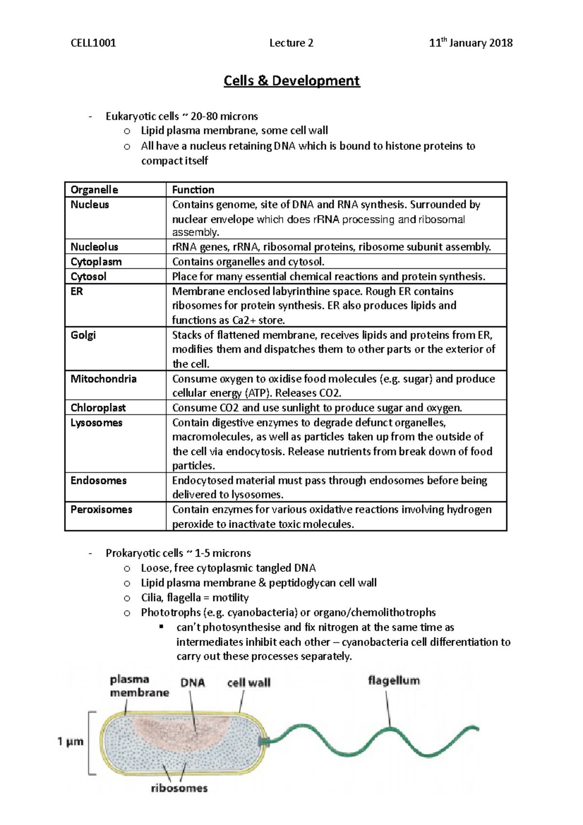 Cells and Development Lecture 1 - CELL1001 Lecture 2 11 th January 2018 ...
