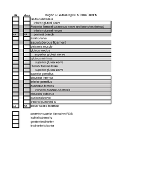 Chapter 4 - Tissues Notes - Chapter 4 - Tissues Tissues o Tissue - old ...
