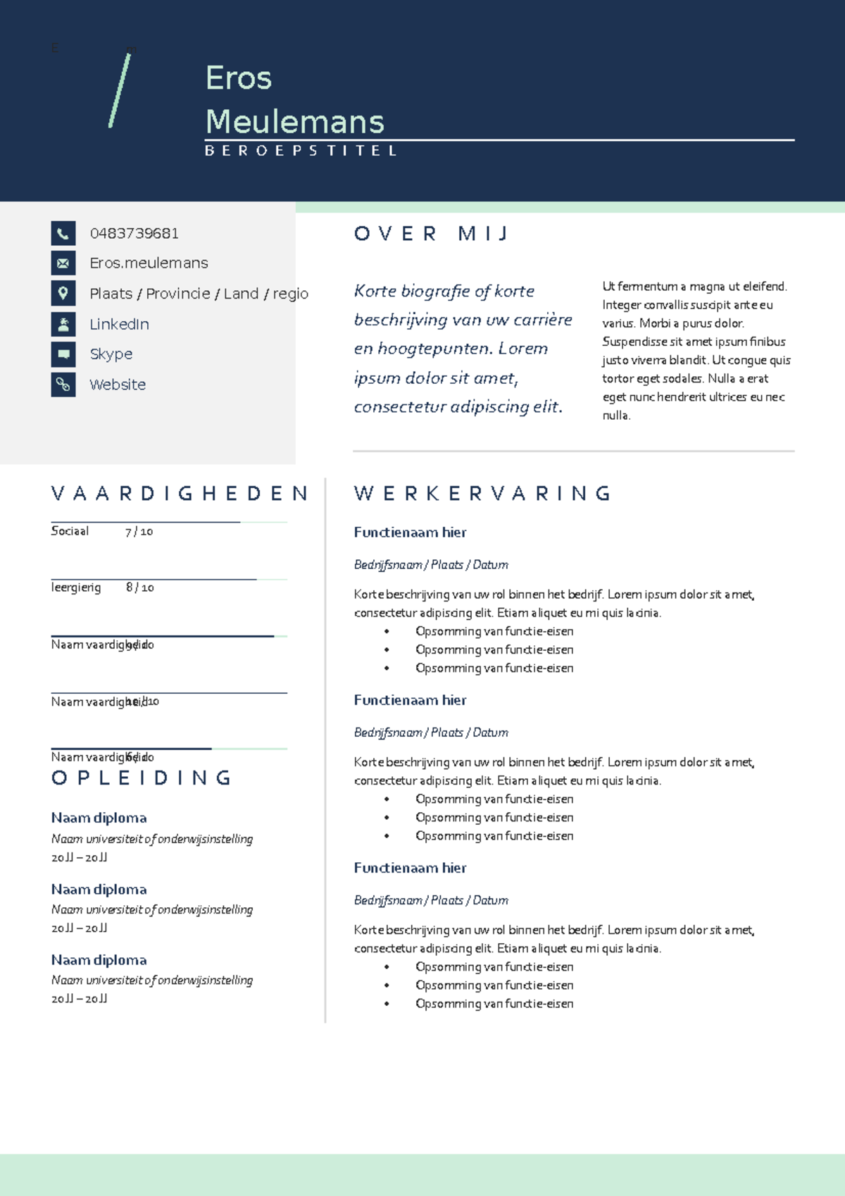 Cv sjabloon word met vaardigheden - Eros Meulemans B E R O E P S T I T ...