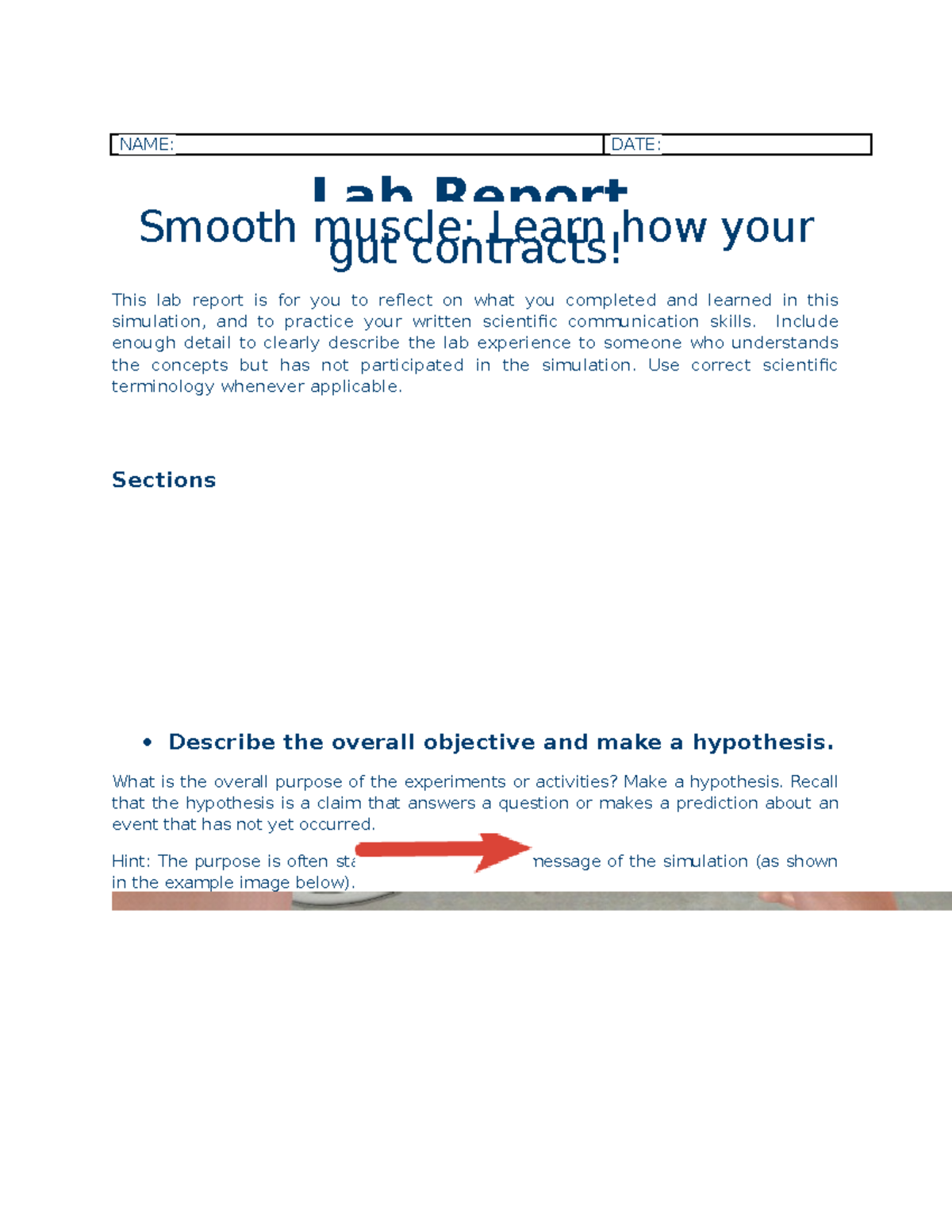 LAB Report 2 - Brief intro - NAME: DATE: Lab Report Smooth muscle: Learn how your gut contracts ...
