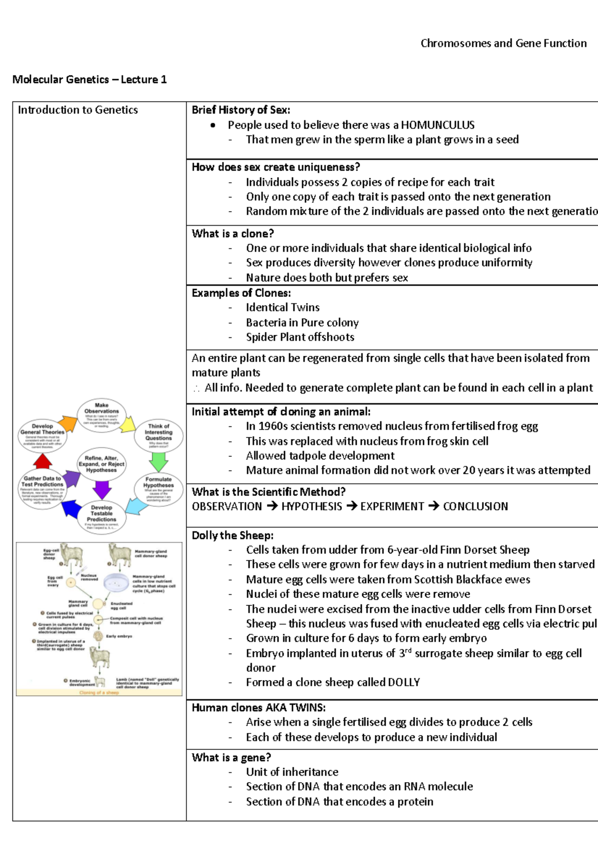 Lecture 1 & 2- Molecular Genetics - Chromosomes and Gene Function ...