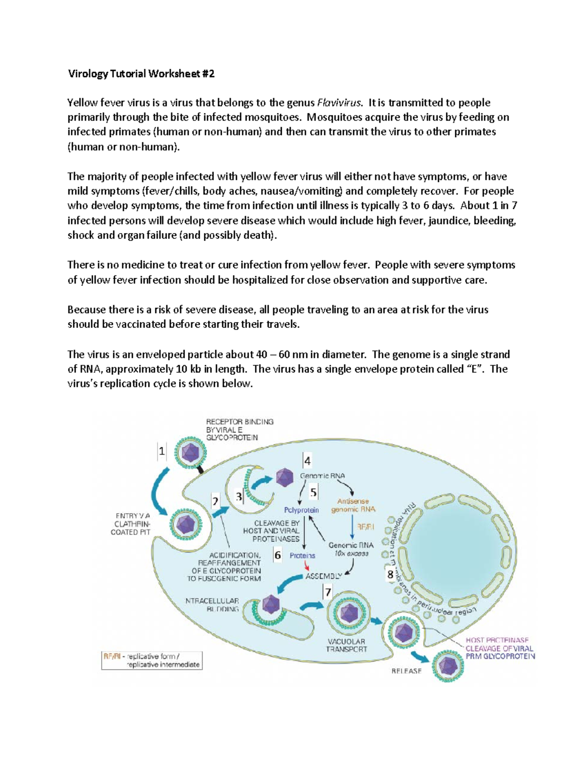 Tutorial 2 Worksheet - It is transmitted to people primarily through ...