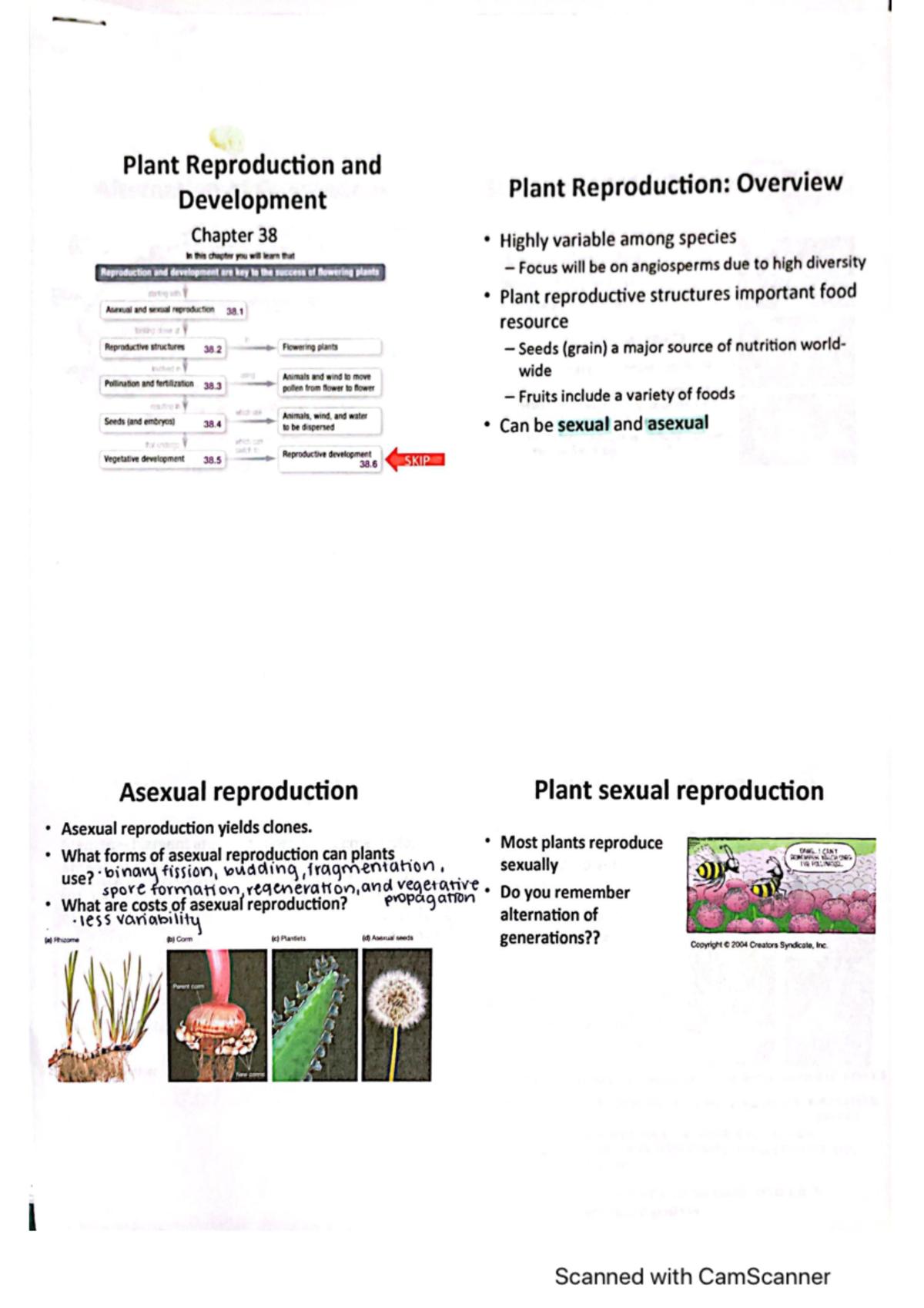 Chapter 38 plant reproduction - Plant Reproduction and Development ...