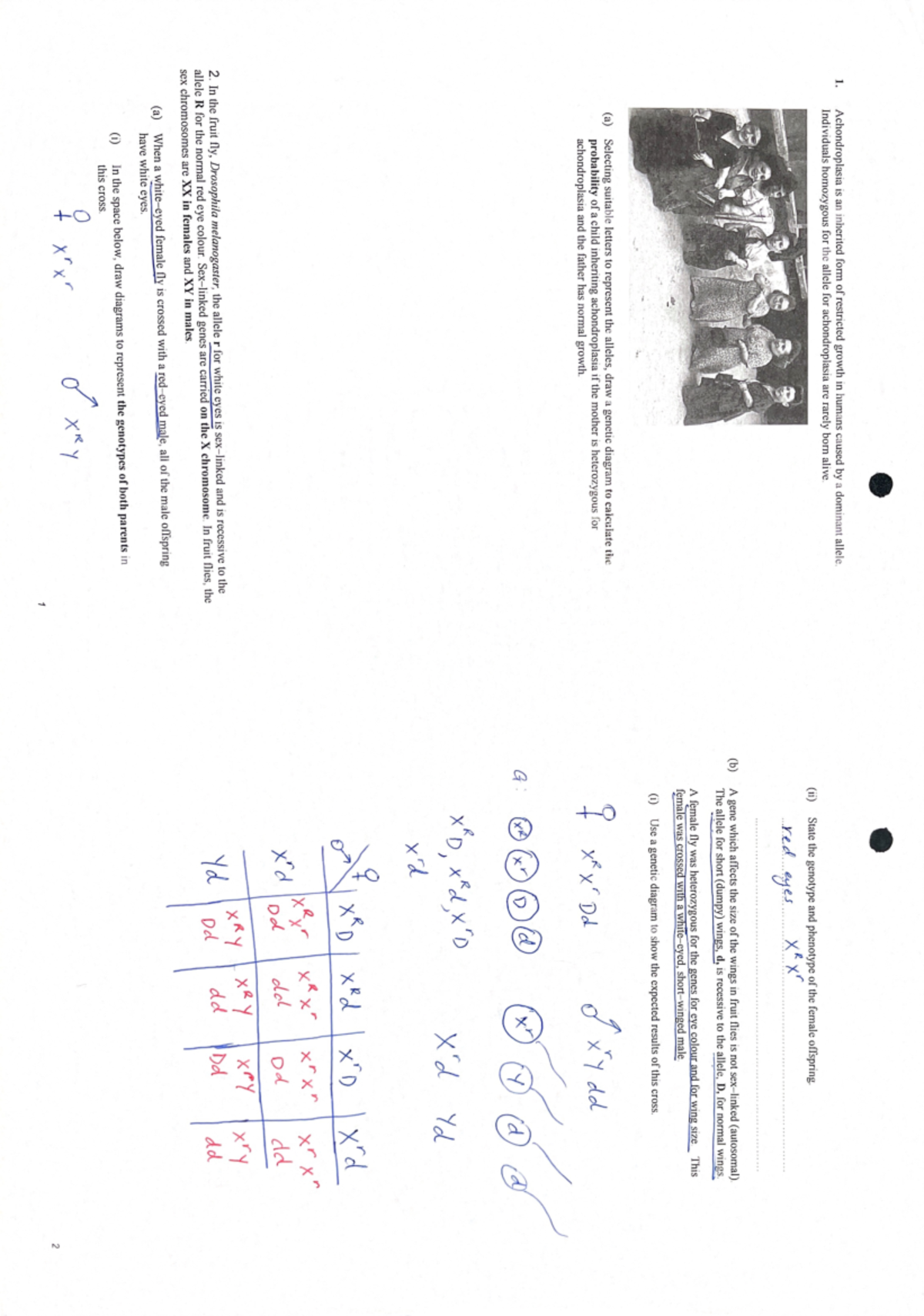 Inheritance questions - Studocu