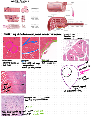 Histology introduction for test 1-2021 - Read before classes . . On 1 ...
