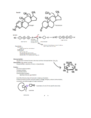 Carbon Lecture - Carbon Atomic Number 6 Mass 12, 14 Carbon is a ...