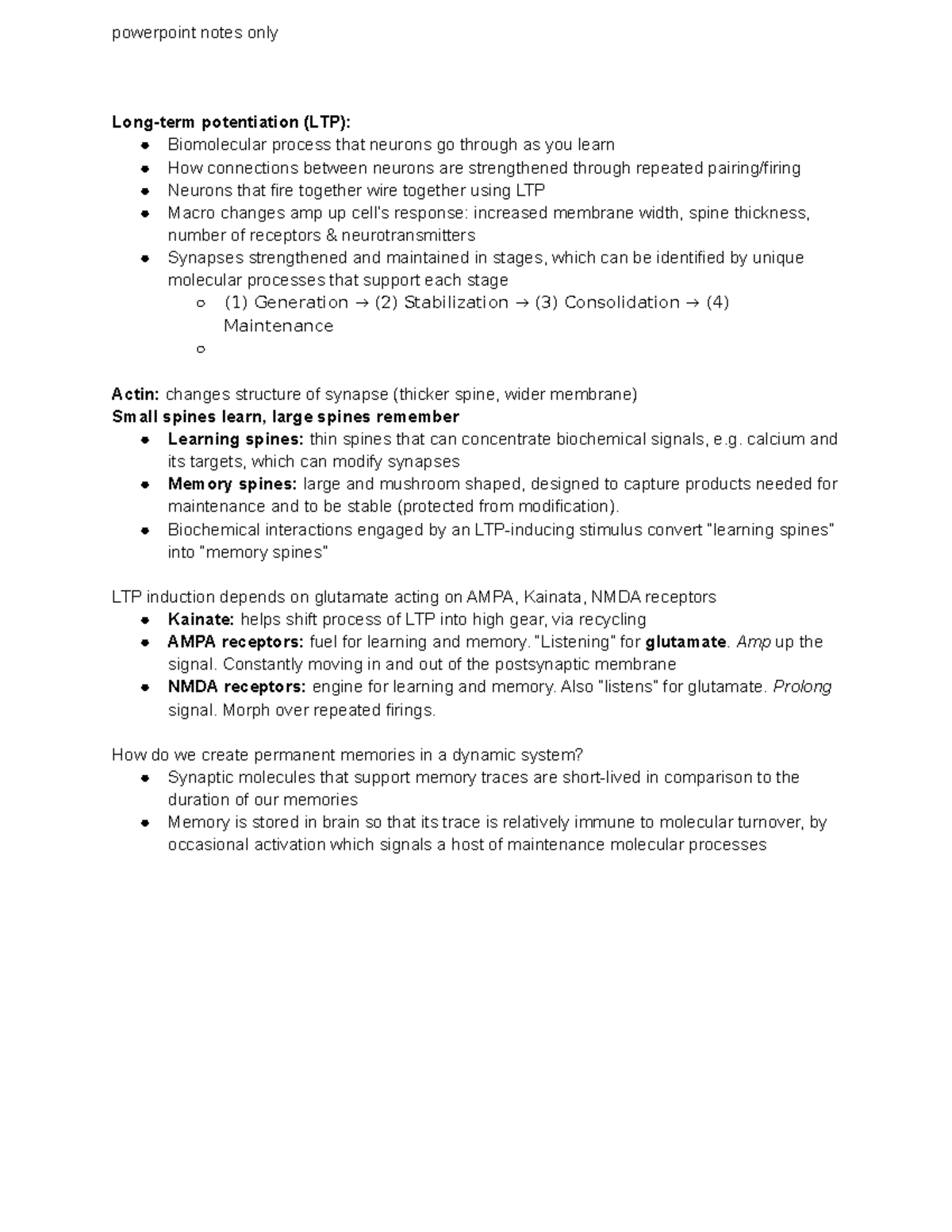 25 Long-Term Potentiation - powerpoint notes only Long-term ...
