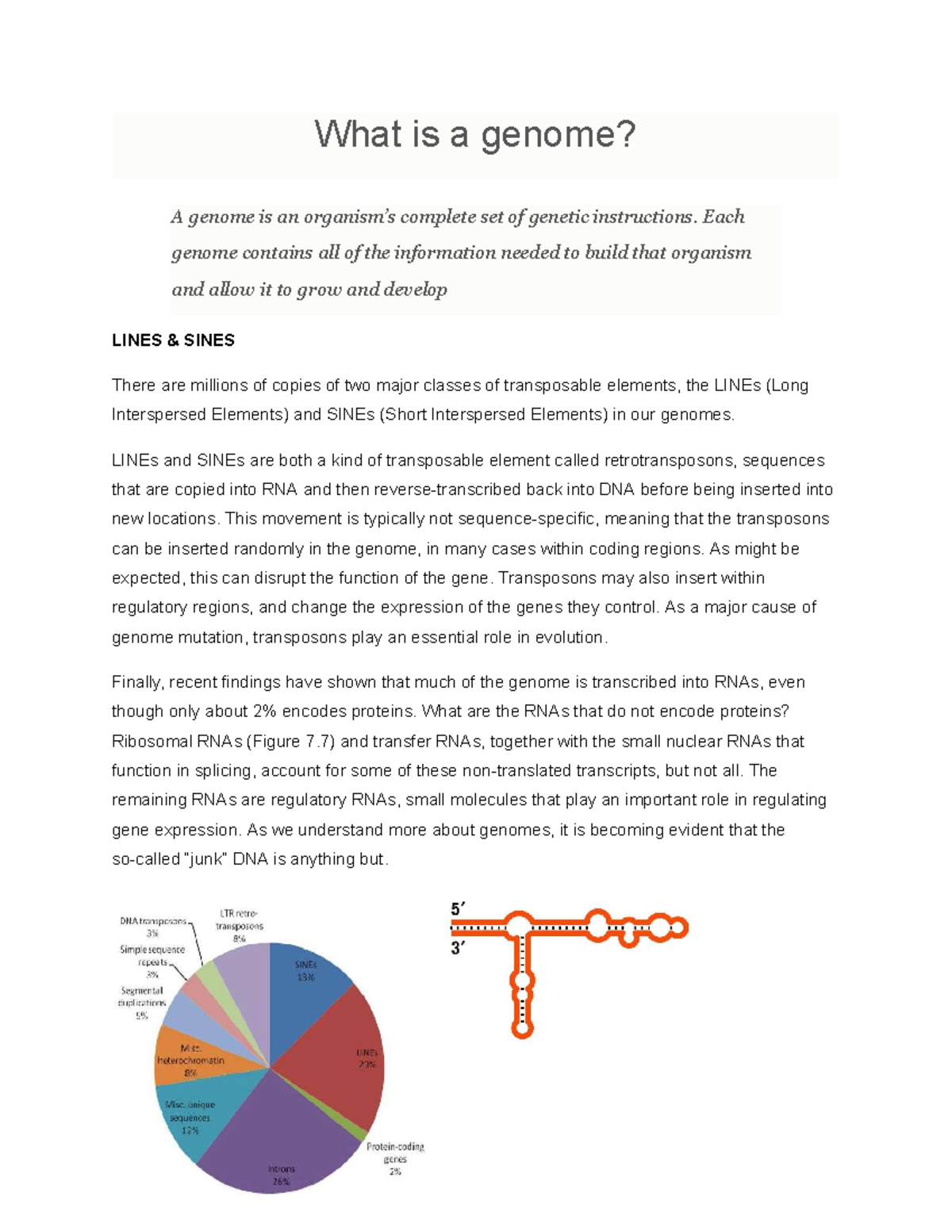 Genome notes - What is a genome? A genome is an organism’s complete set ...