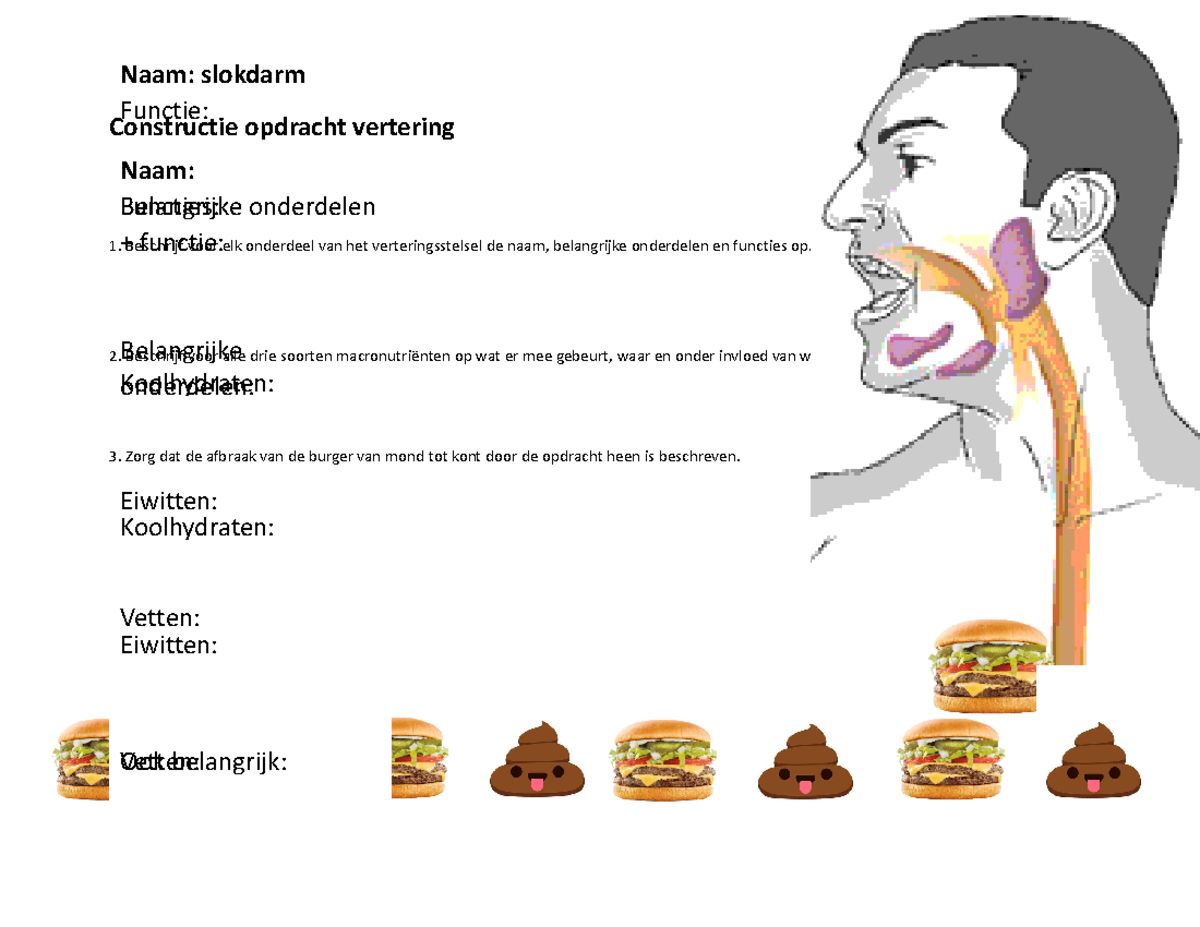 Verteringsopdracht - vertering - Constructie opdracht vertering 1 ...