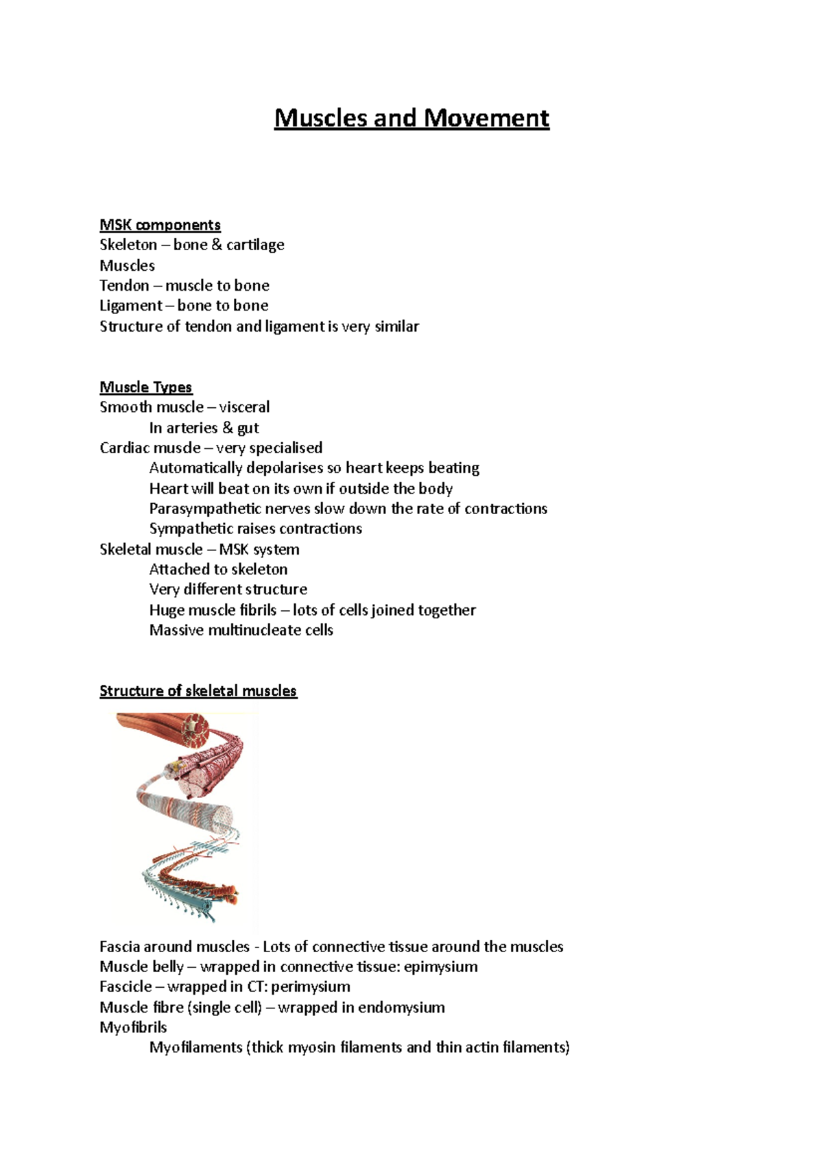 Muscles and Movement - MJM - Muscles and Movement MSK components ...