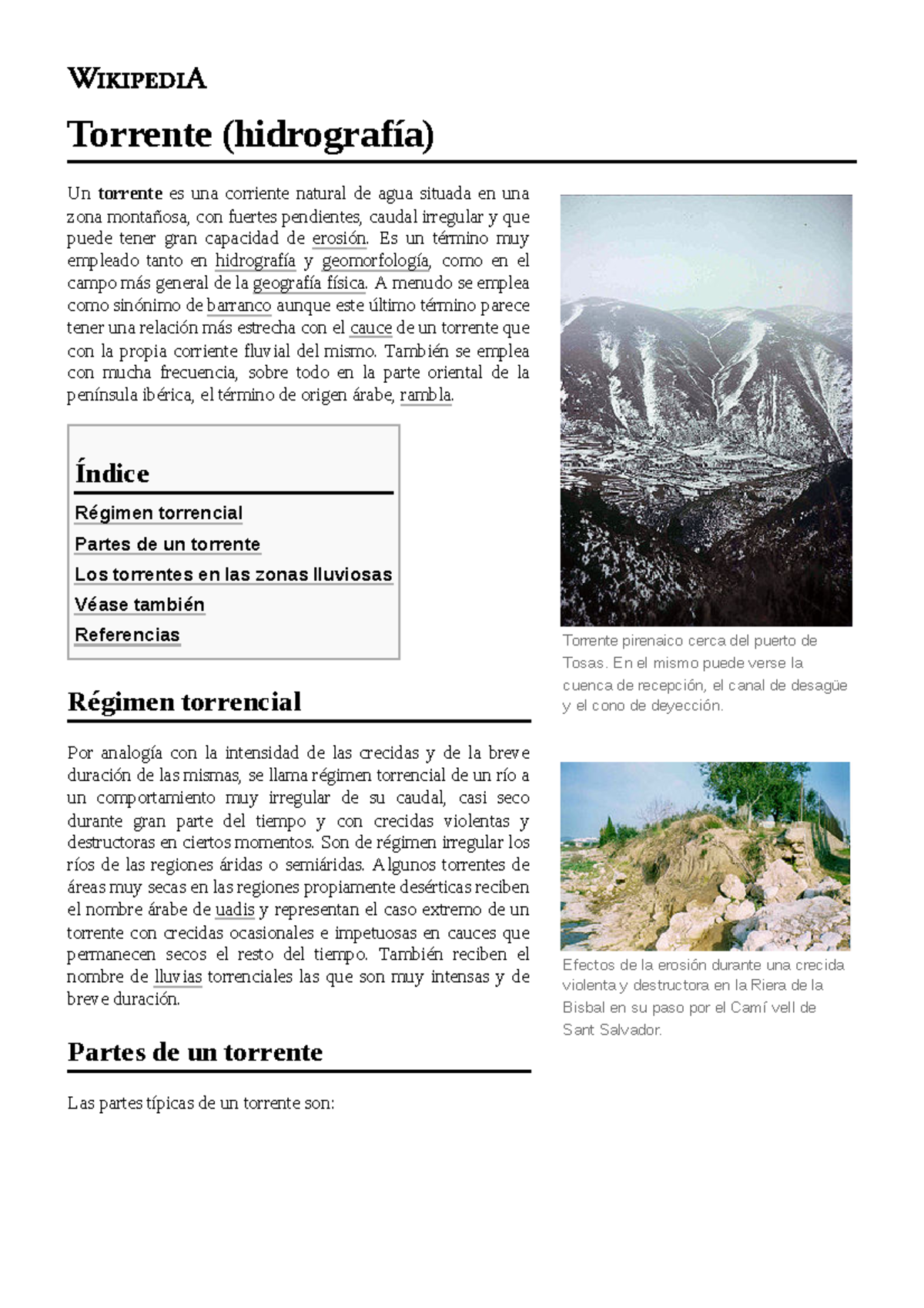 Torrente (hidrografía) - Torrente pirenaico cerca del puerto de Tosas ...