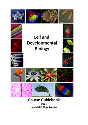 Alzheimer's Disease - Bill Wisden Lecture - Alzheimerz Alzheimer’s is ...