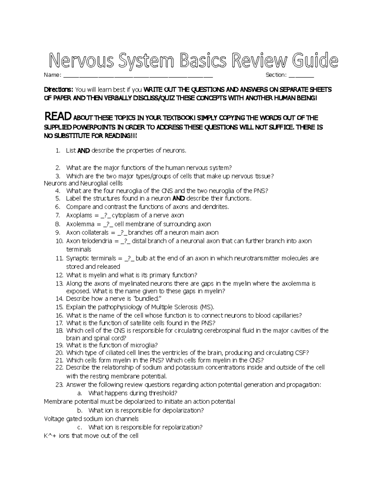 Nervous System Basics Review Guide - Name