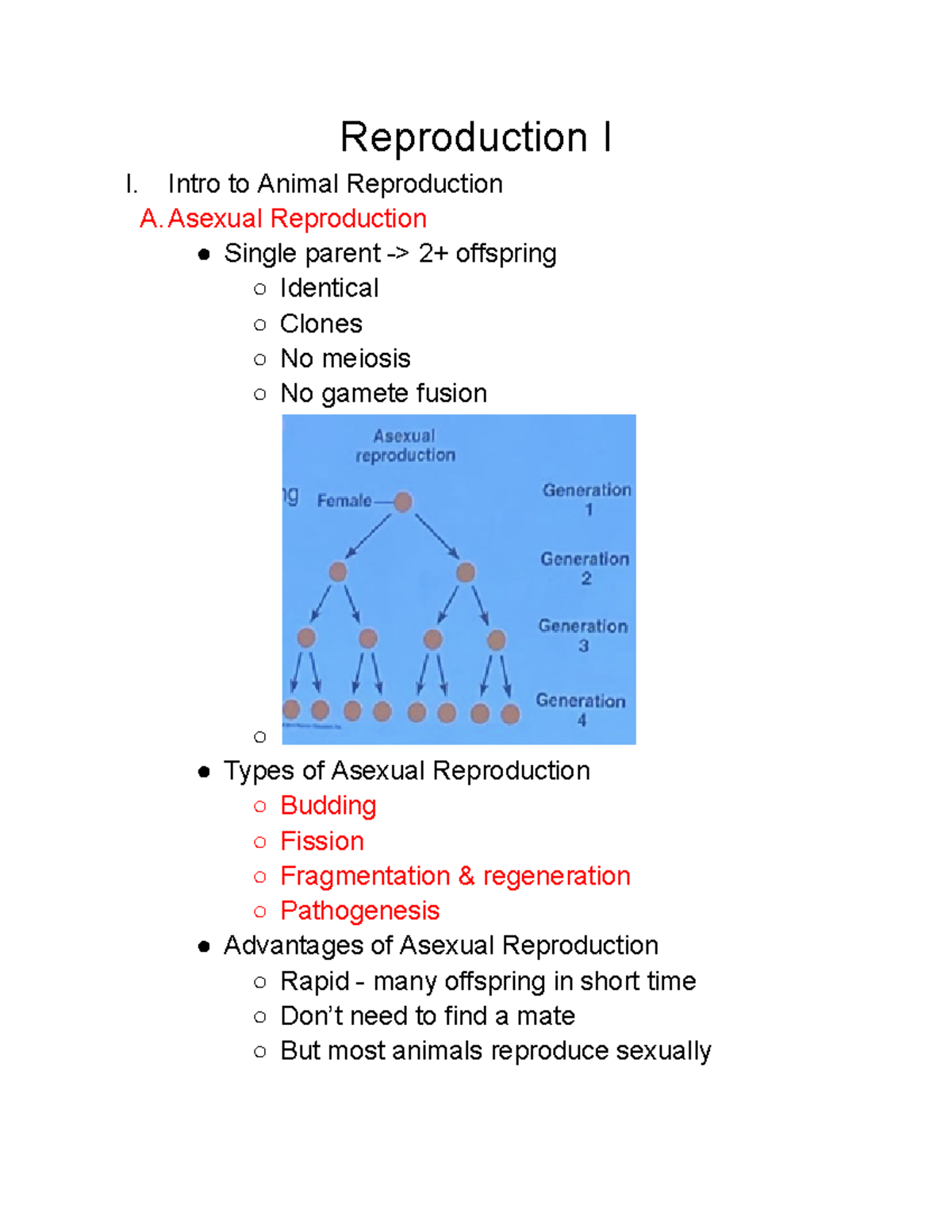 Reproduction I - Intro to Animal Reproduction A. Asexual Reproduction ...