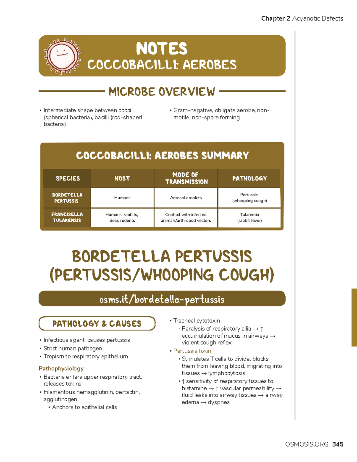Coccobacilli- Aerobes - Intermediate shape between cocci (spherical ...