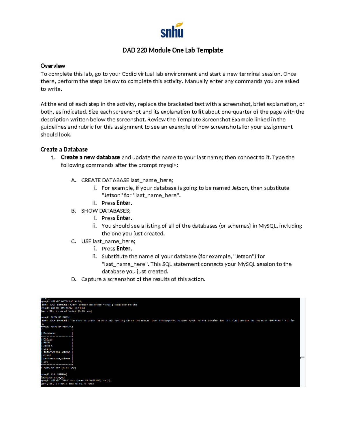 DAD220 Project 1 - week 1 - DAD 220 Module One Lab Template Overview To complete this lab, go to ...