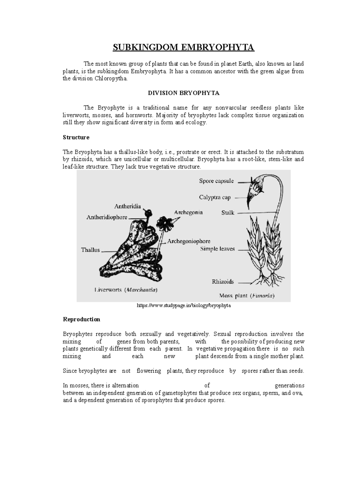 2.1 Division Bryophyta - SUBKINGDOM EMBRYOPHYTA The most known group of ...
