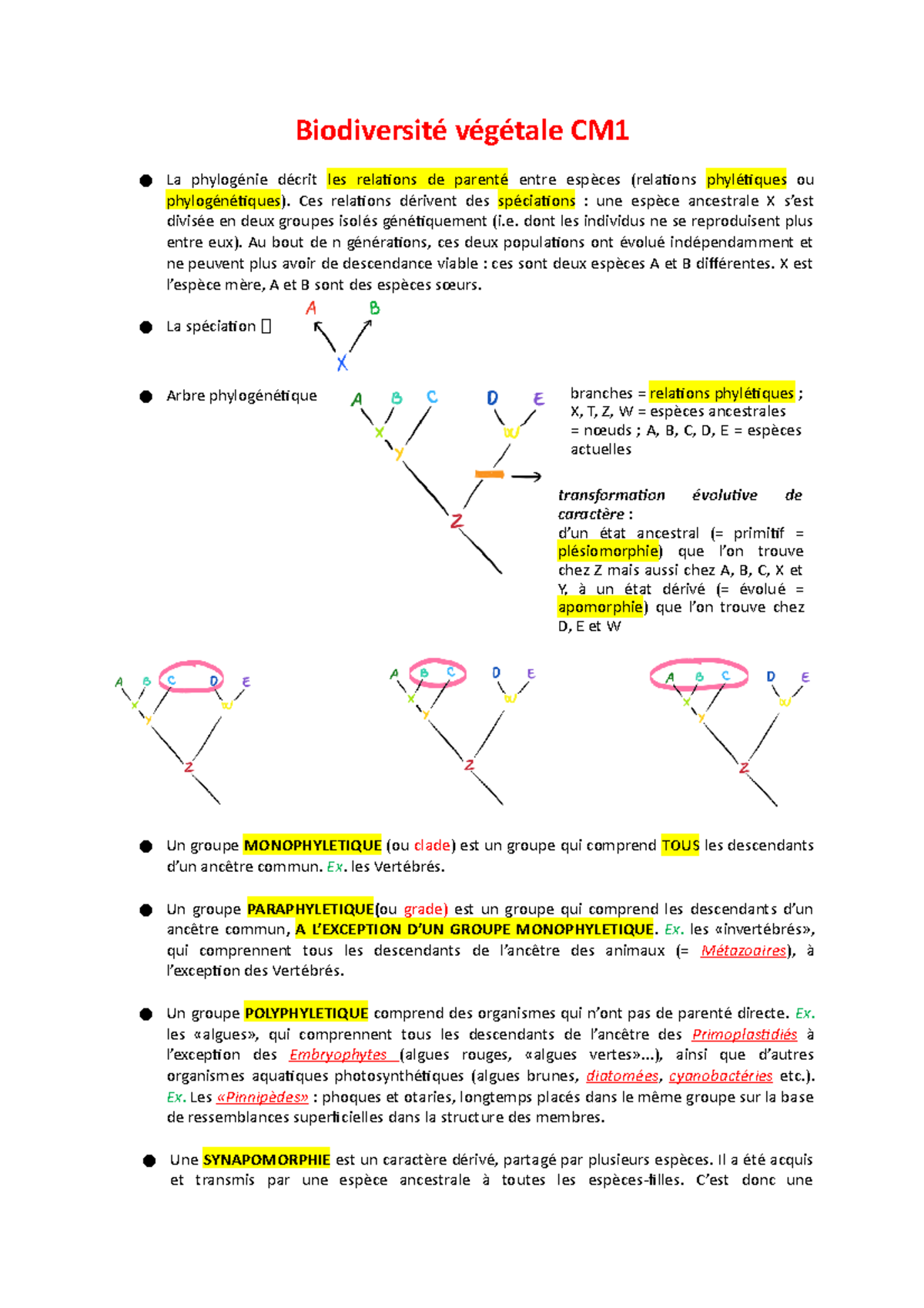 Cour CM1 arbre du vivant - Biodiversité végétale 1 - UPS - Studocu