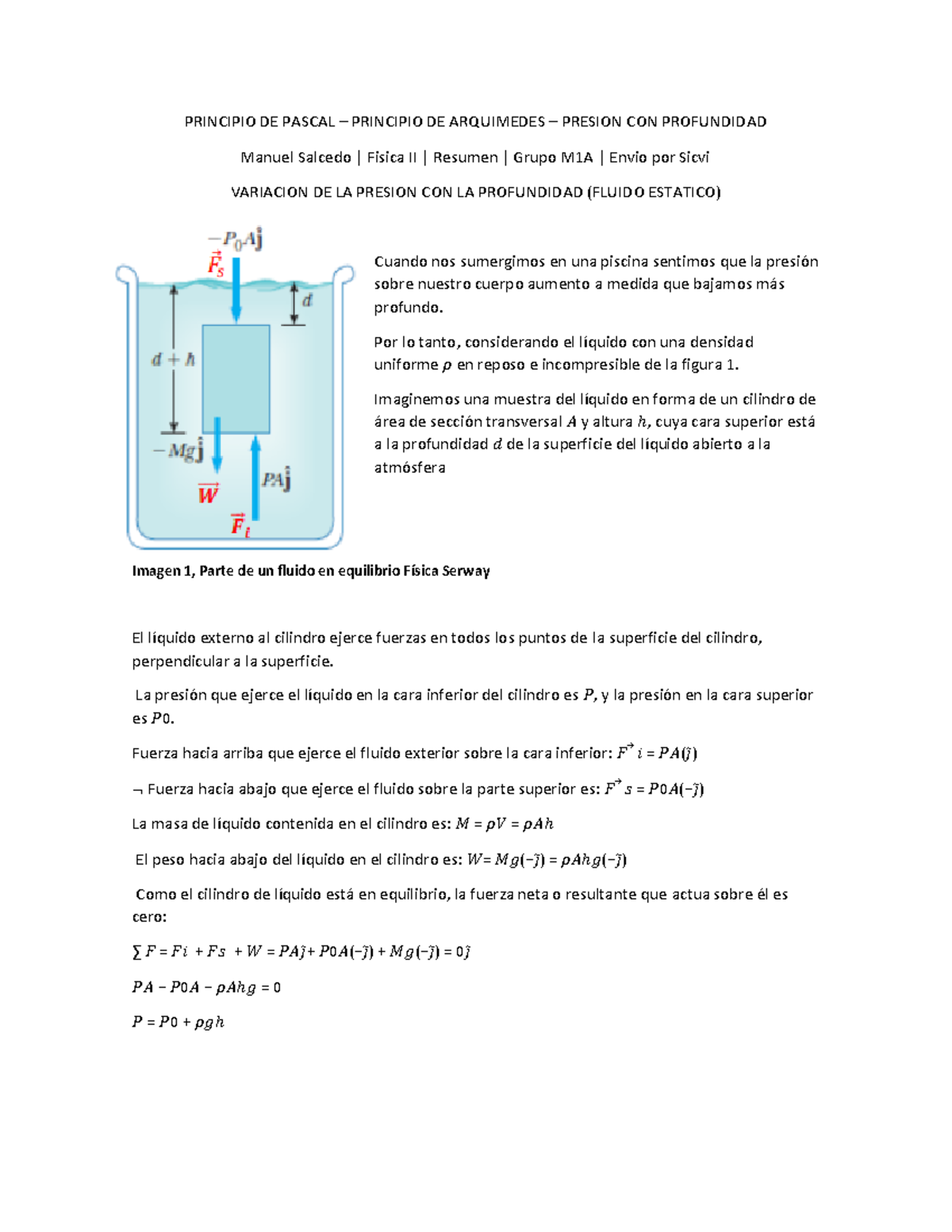 Ensayo Fisica II - Manuel Salcedo - Pascal,Arquimedes,Presion - PRINCIPIO DE PASCAL – PRINCIPIO ...