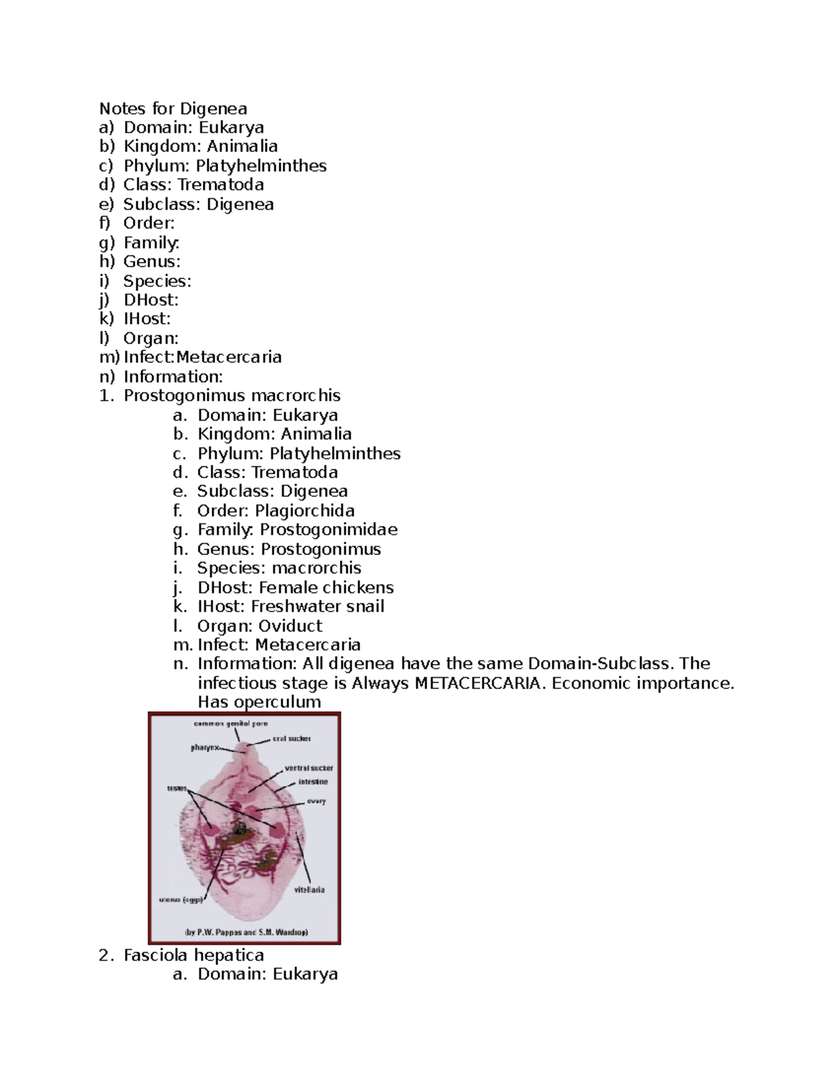 Midterm Study Notes for Digenea and Cestoidea (Platyhelminthes) - Notes ...