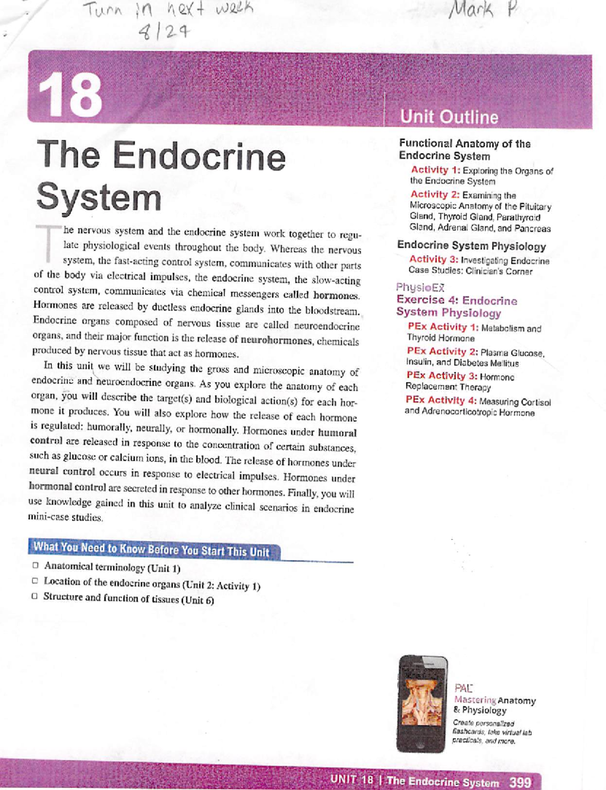 Ch 18- Endocrine System - 18 Unit Outline Functional Anatomy of the The ...