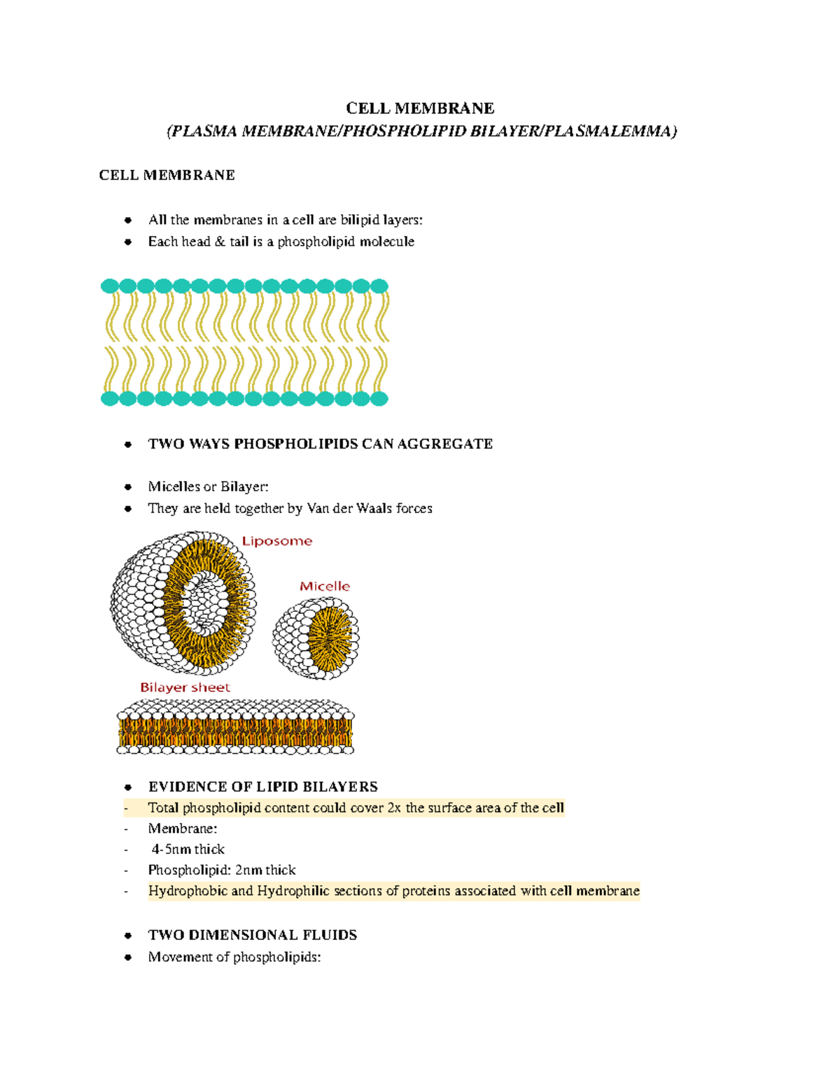 CELL Membrane - CELL MEMBRANE (PLASMA MEMBRANE/PHOSPHOLIPID BILAYER ...