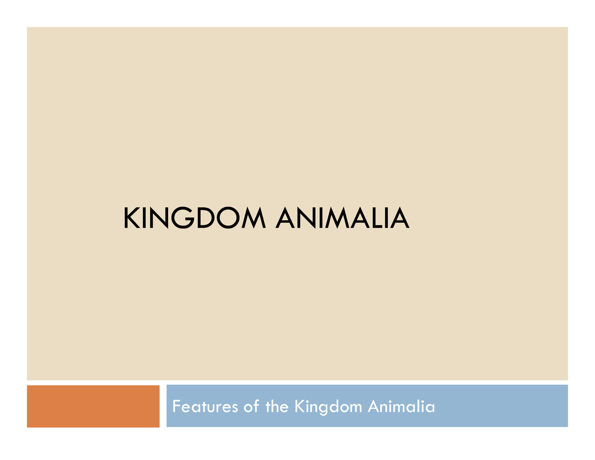 The features of the Kingdom Animalia - KINGDOM ANIMALIA Features of the ...