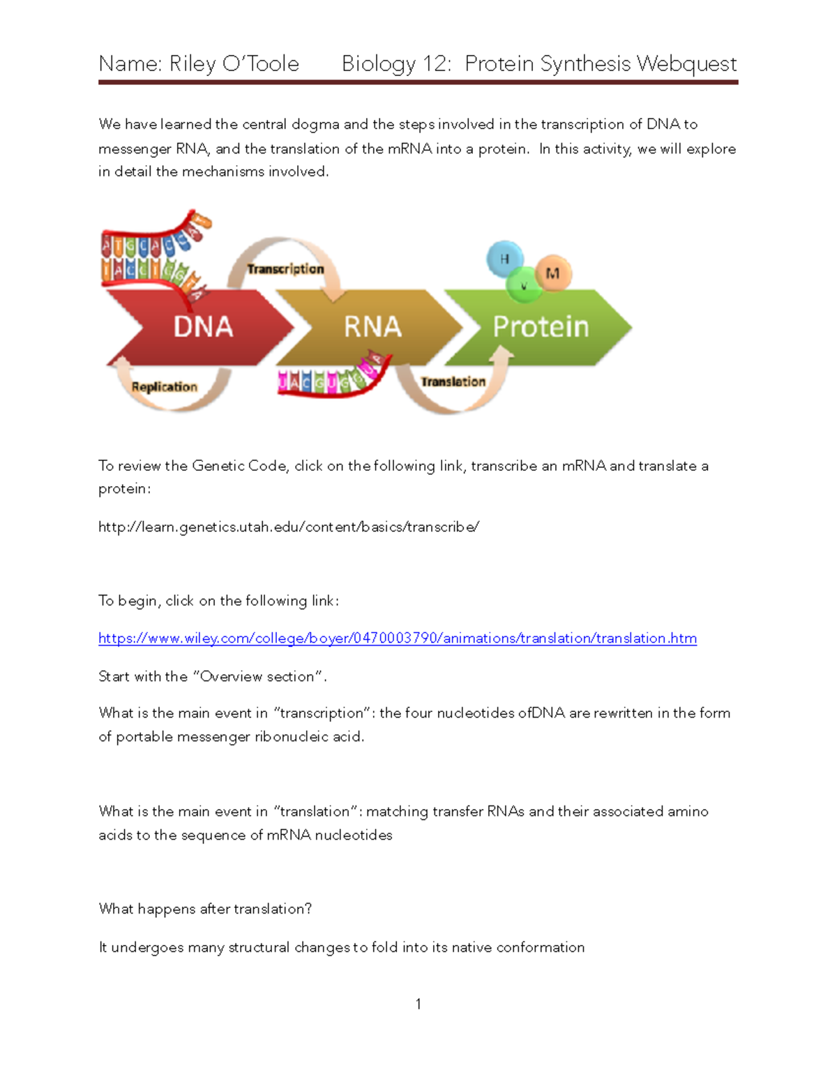 Protein Synthesis Webquest We Have Learned The Central Dogma And The protein-synthesis-webquest-we-have-learned-the-central-dogma-and-the