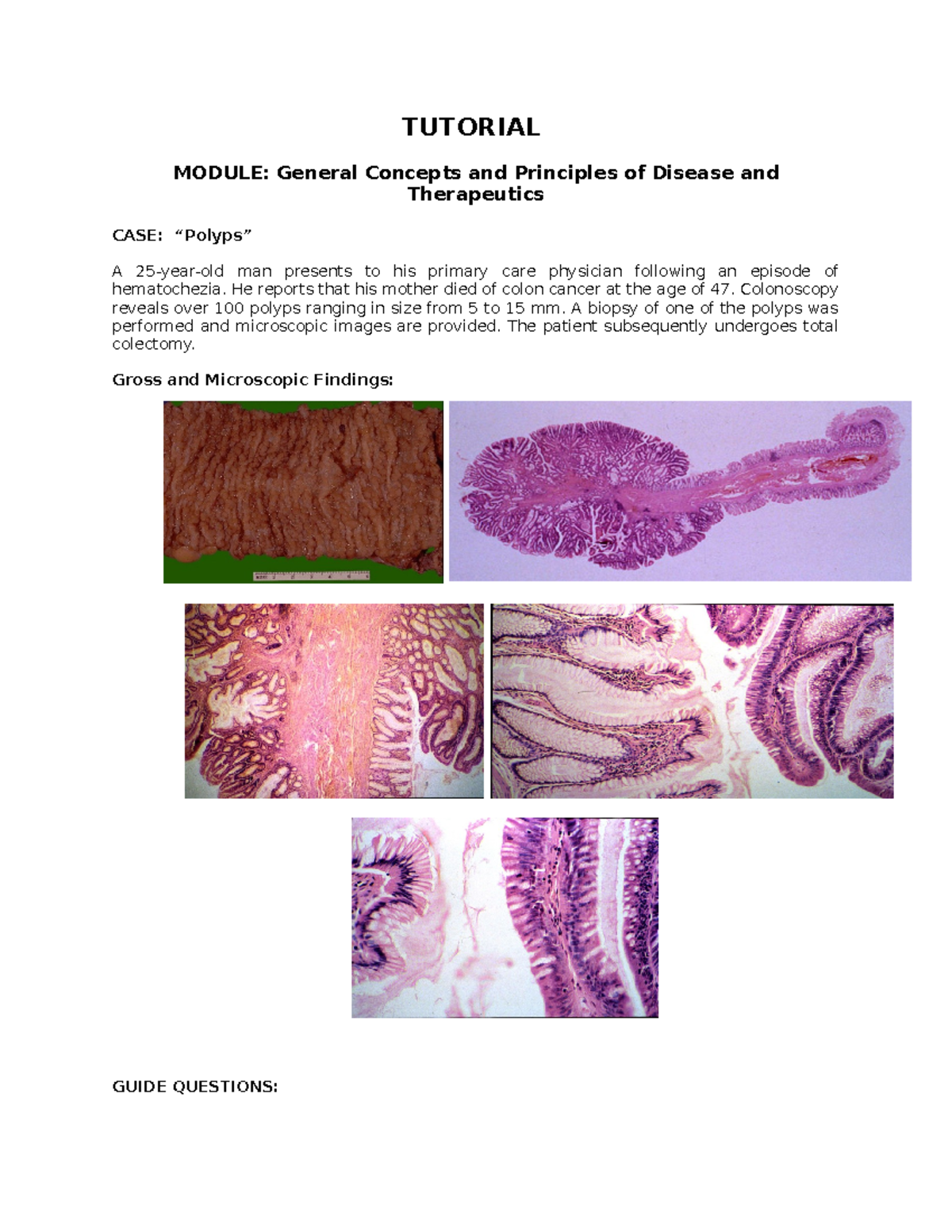 GC Tutorials Mar 14-19 - Lecture notes 1-10 - TUTORIAL MODULE: General ...