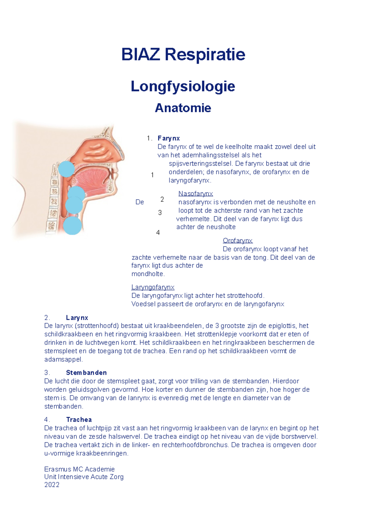 BIAZ Respiratie - Samenvatting - BIAZ Respiratie Longfysiologie ...