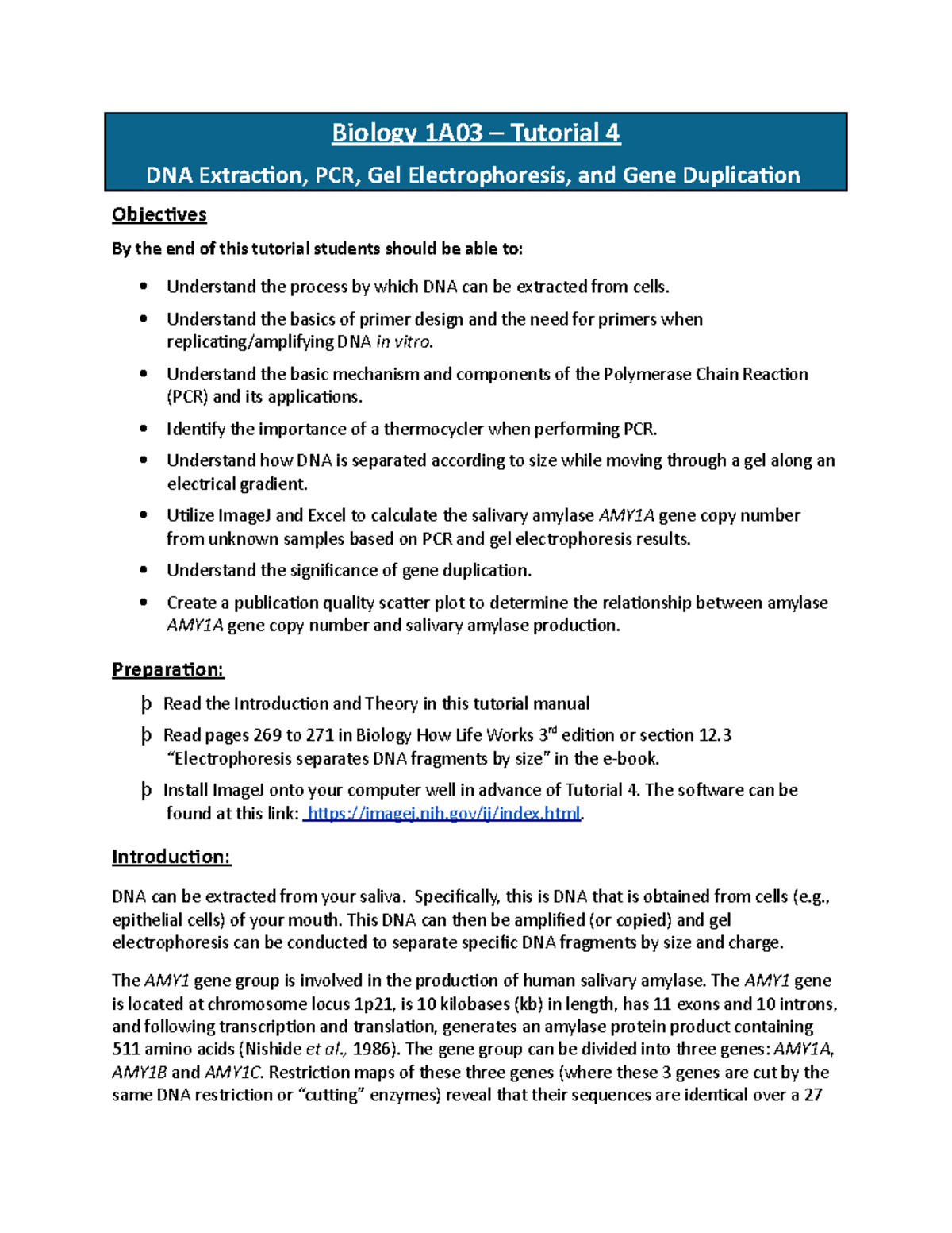 Tutorial 4 manual W2023 - Biology 1A03 – Tutorial 4 DNA Extraction, PCR ...