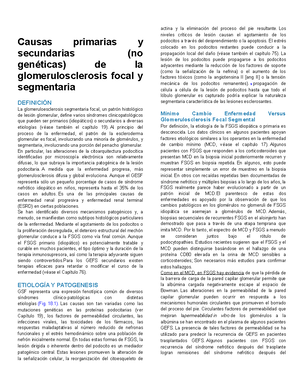 Anrx0022-04 - signo de Giordano - Abril-Junio 2002;01(2) 409 Puntos ...