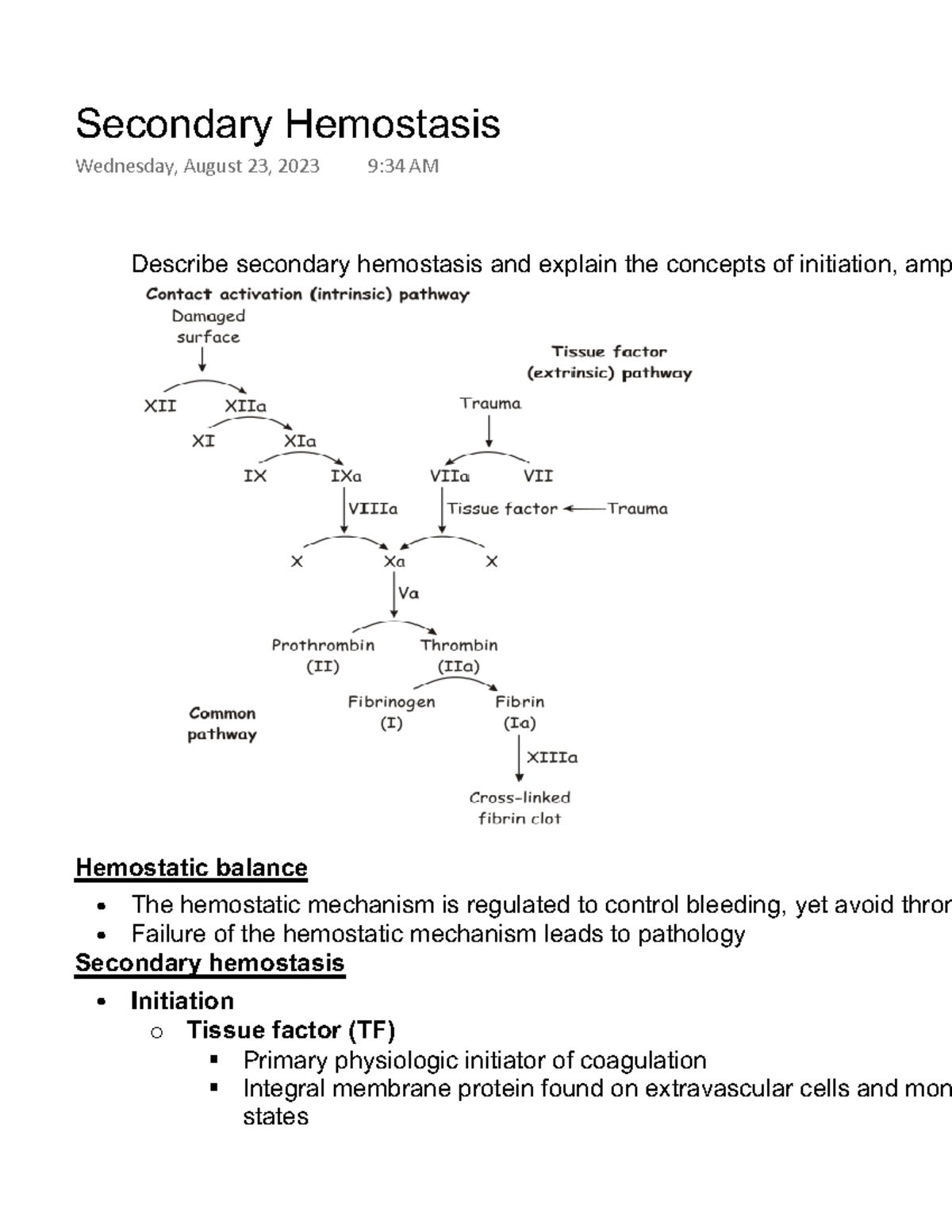Secondary Hemostasis - SOM- M2 - Describe secondary hemostasis and explain the concepts of - Studocu