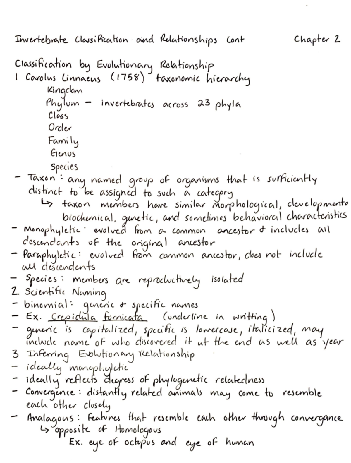 Notes on Chapter 2 Invertebrate Biology - Invertebrate Classification ...