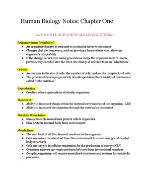 Bio quiz study guide - Summary Human Biology - Functions: Supports and ...