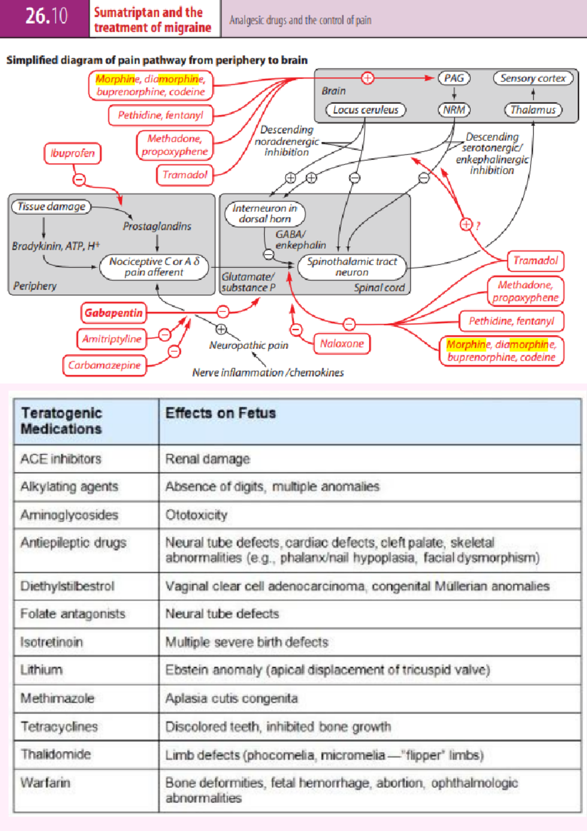 Copia de mi caratule - asdada - 26 Sumatriptan and the Analgesic drugs ...