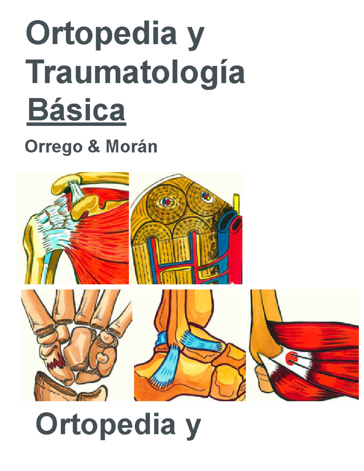 Ortopedia-y-Traumatologia-Basica - Universidad De Los Andes - Ortopedia ...