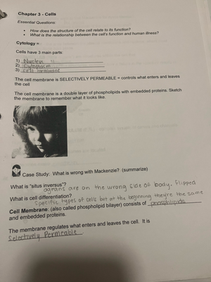 Pogil Cell Membrane Structure and Their Functions - Cells: Membrane ...