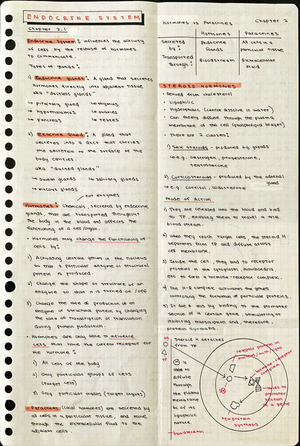 13 hsc bio notes - 2013 Notes from the Marking Centre – Biology ...